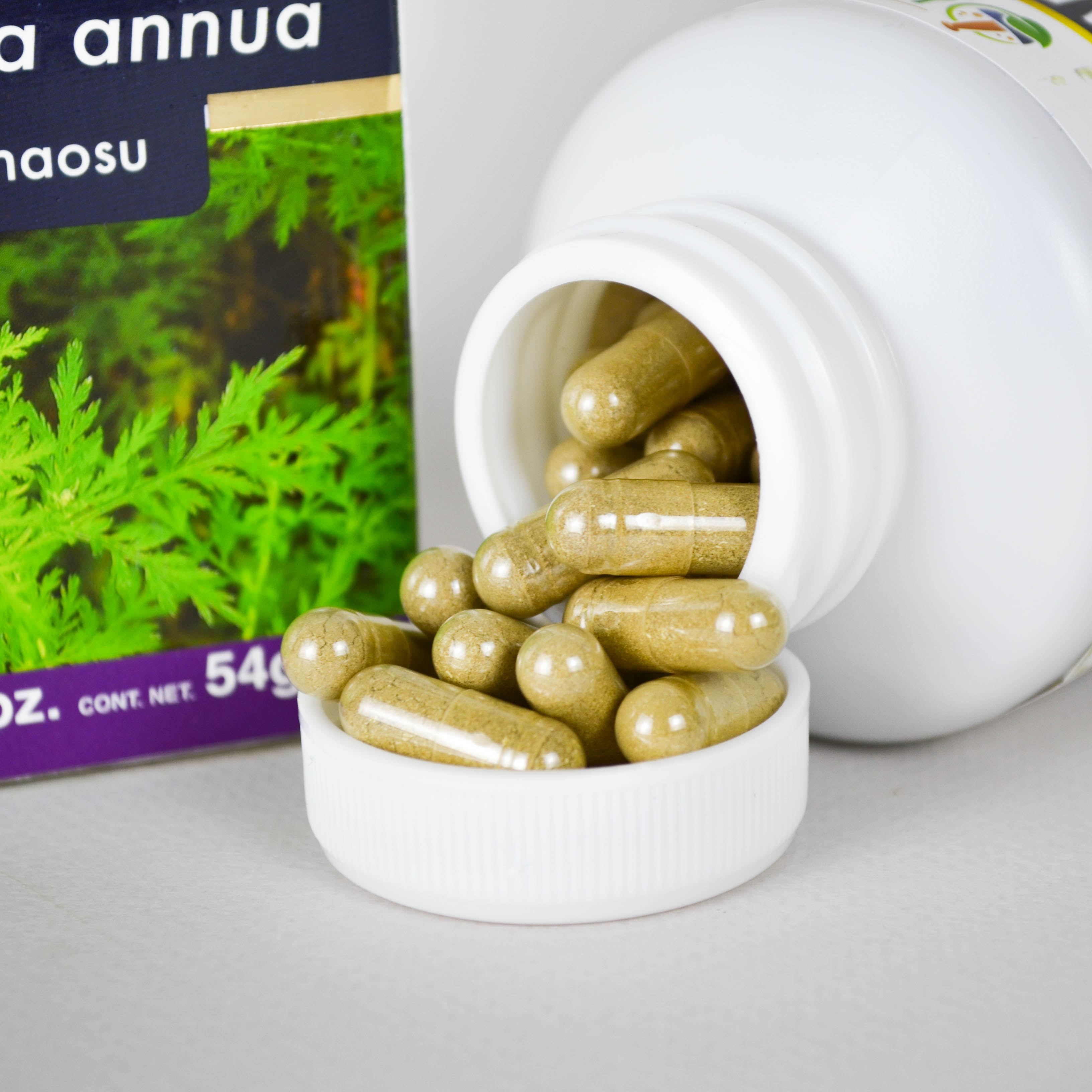 CÁPSULAS ARTEMISININA (Artemisia annua) – Boticate